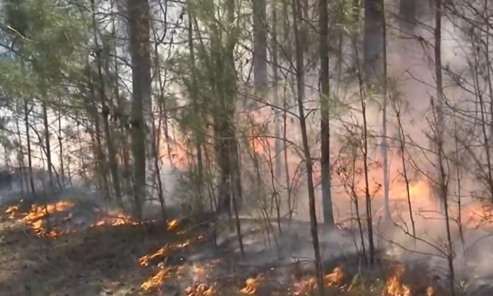 Dothan Fire Dept. warns citizens of outdoor fires - MDMH Dothan